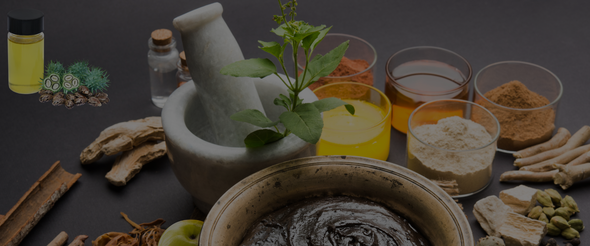 About Us | GreenTouch Ayurveda World